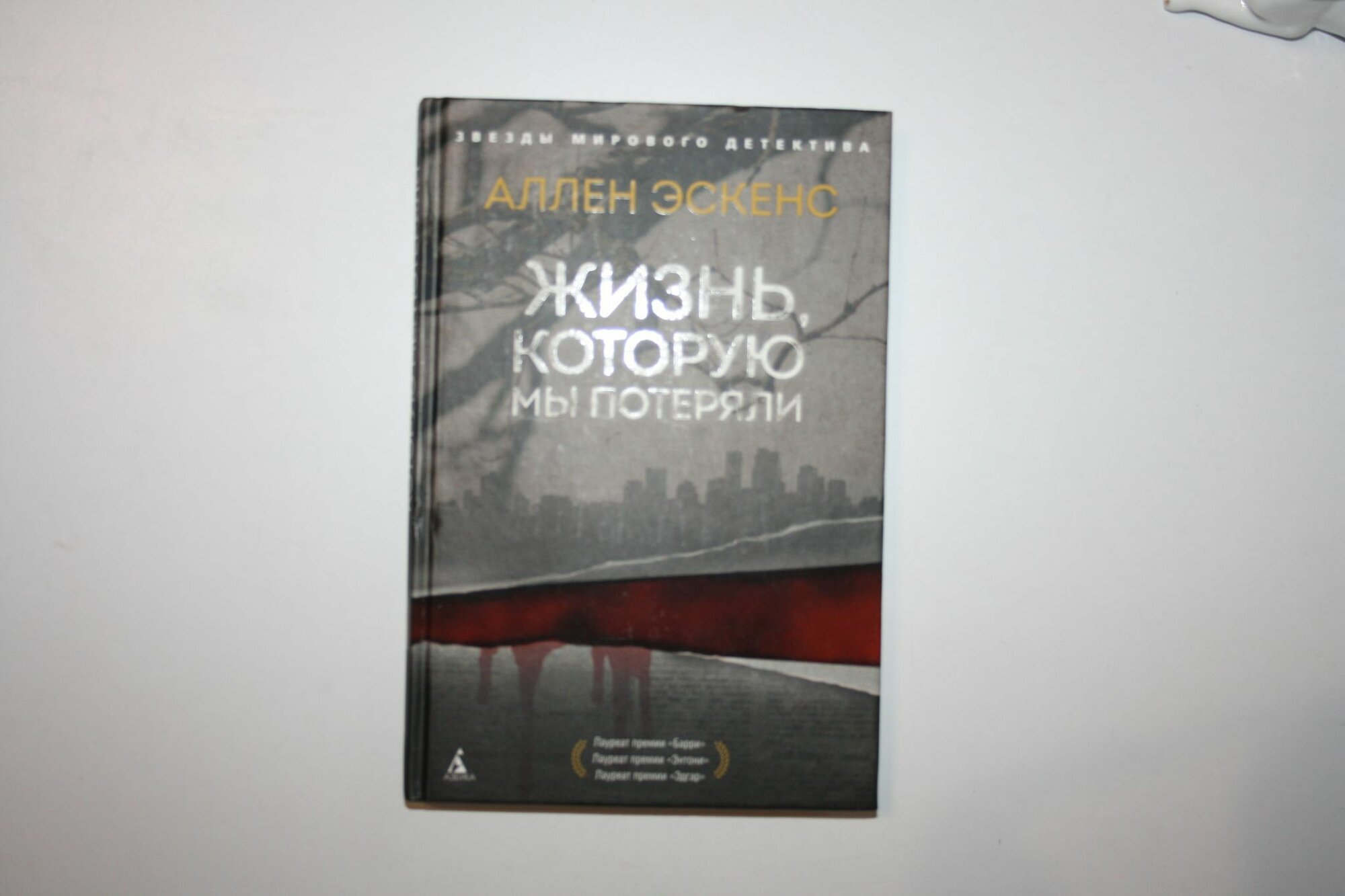 Жизнь, которую мы потеряли. Роман