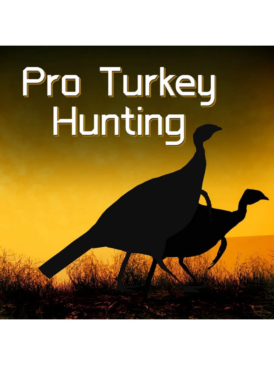 Pro Turkey Hunting PS5