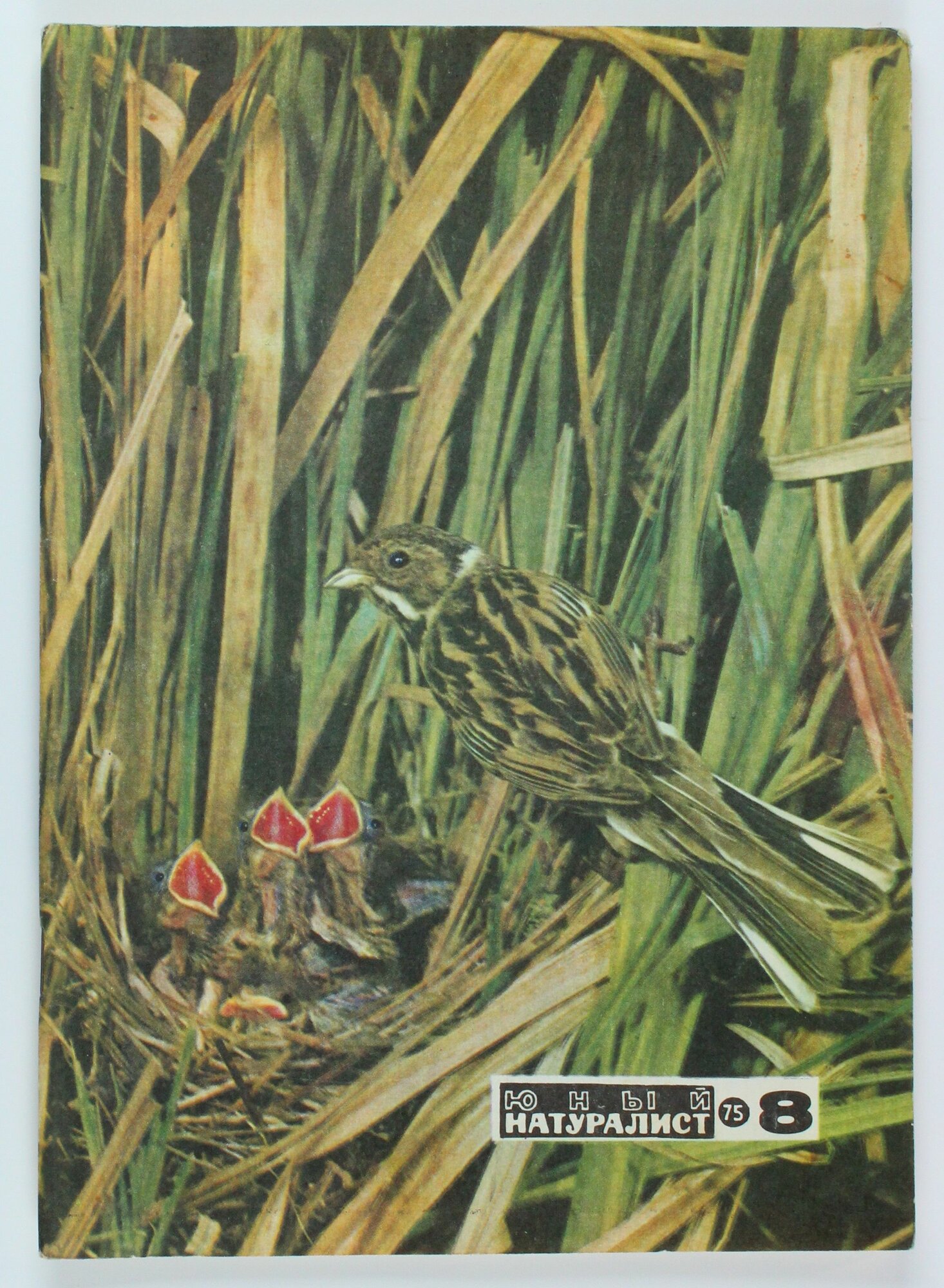 Винтажный журнал СССР Юный Натуралист, 1975 год