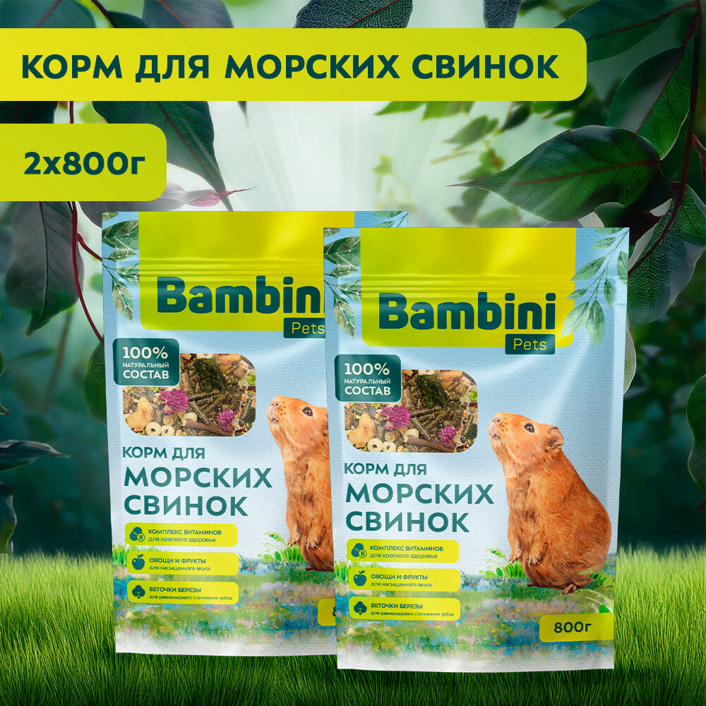 Корм повседневный Bambini Pets для морских свинок, 2 упаковки по 800гр