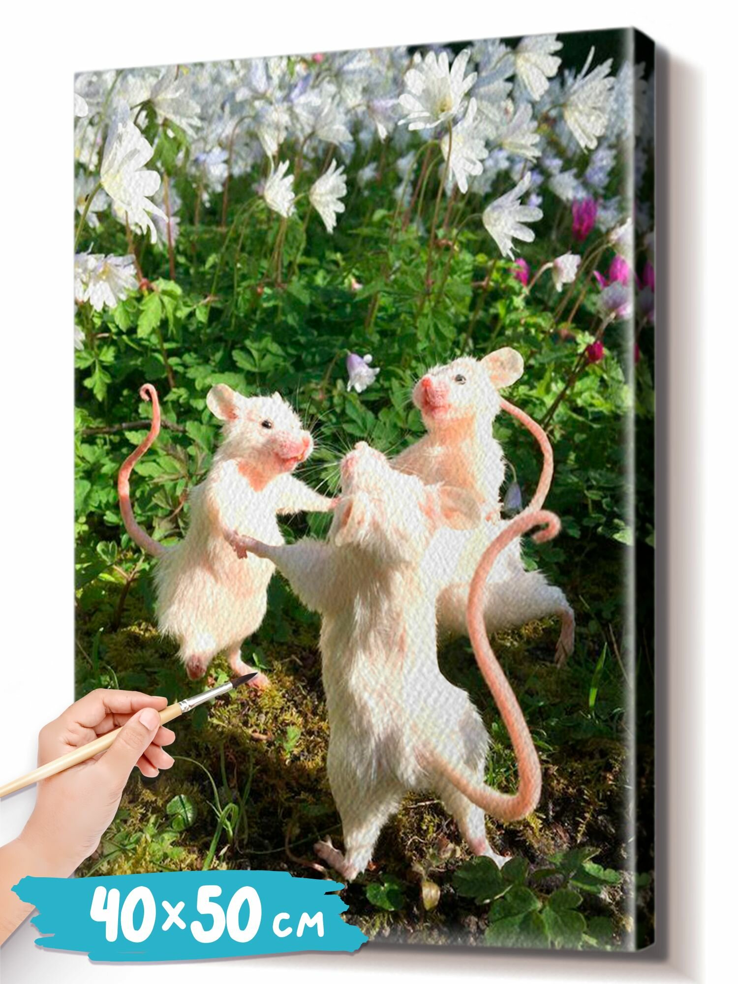 Картина по номерам Крыски