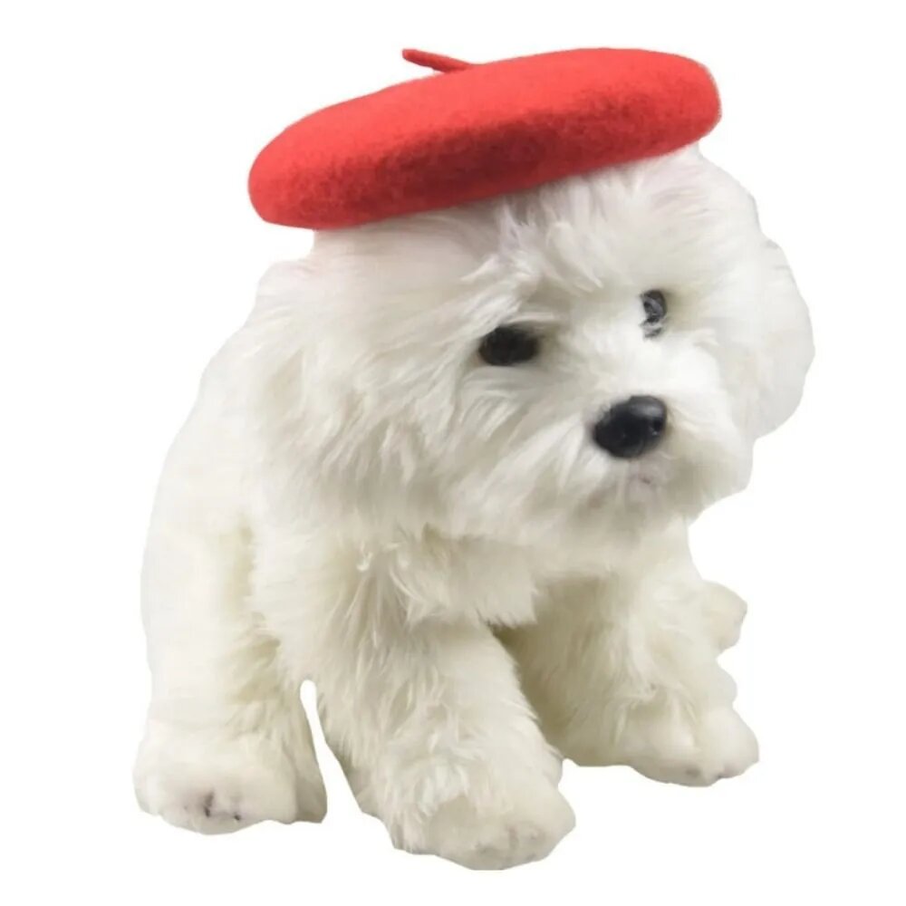 Собака Кошка Берет — фото 1