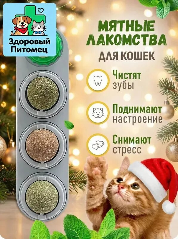 Игрушки для кошек, кошачья мята, леденец для кошек, шарик на стену