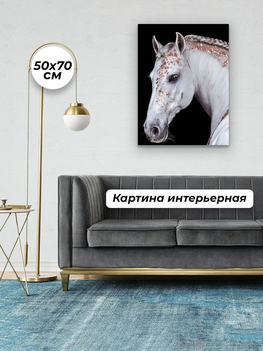 Картины для интерьера 50х70 Лошадь Белая Конь