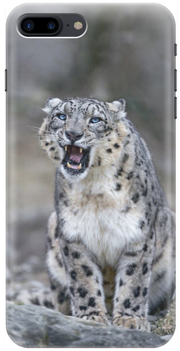 Силиконовый чехол на Apple iPhone 8 Plus / 7 Plus / Эпл Айфон 7 Плюс / 8 Плюс с рисунком "Голубоглазый барс"