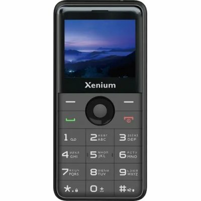 Мобильный телефон Xenium X700 Black