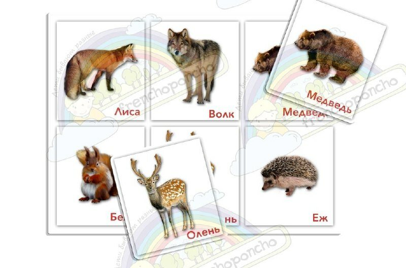 Лесные животные. Медведь и другие. Развивающие пособия на липучках Frenchoponcho (Френчопончо)