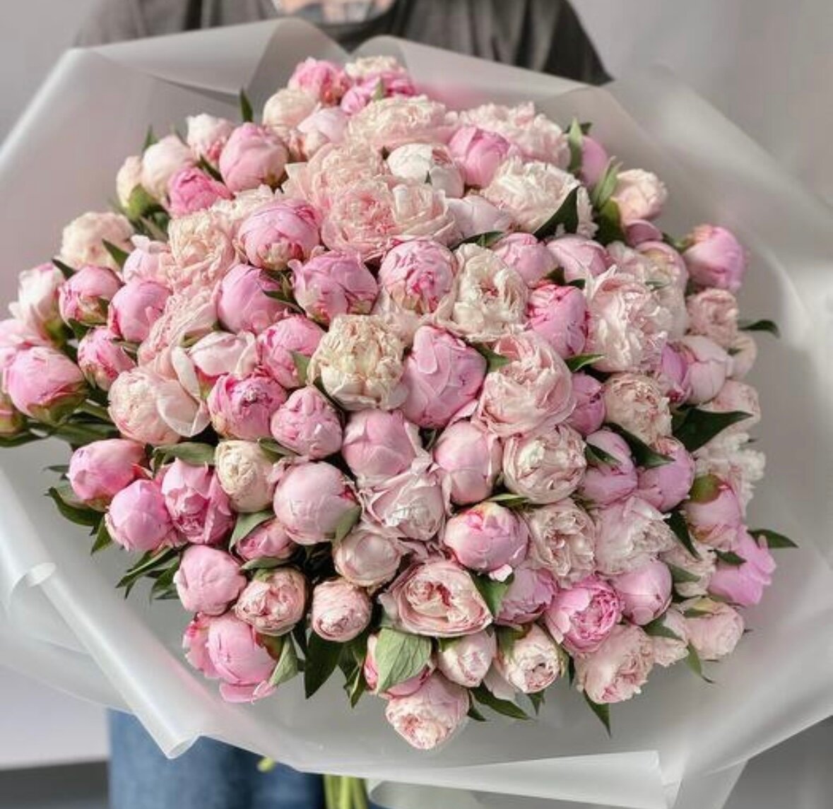 Пионы Sarah Bernhardt (Сара Бернар / Сара Бернард), 101 штука, монобукет