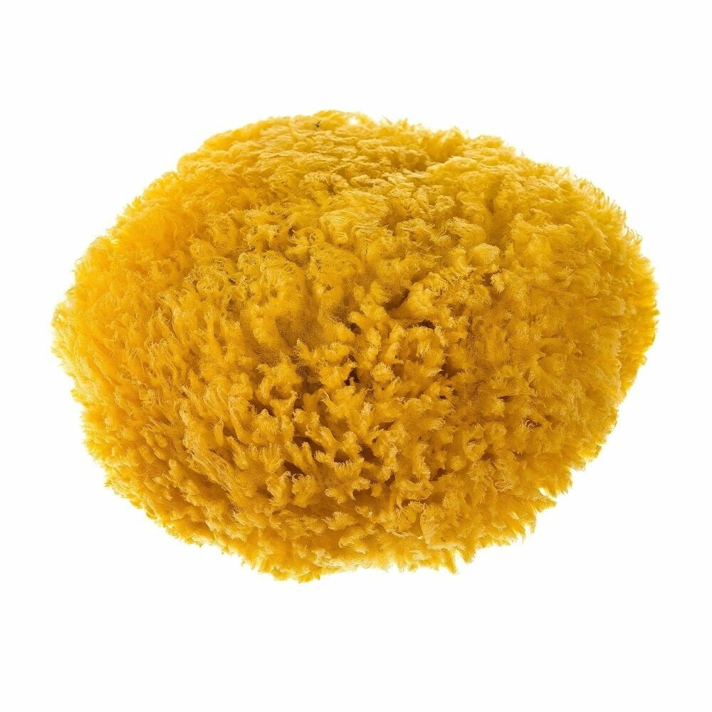 Губка морская натуральная большая STMDecor M86 (180мм)