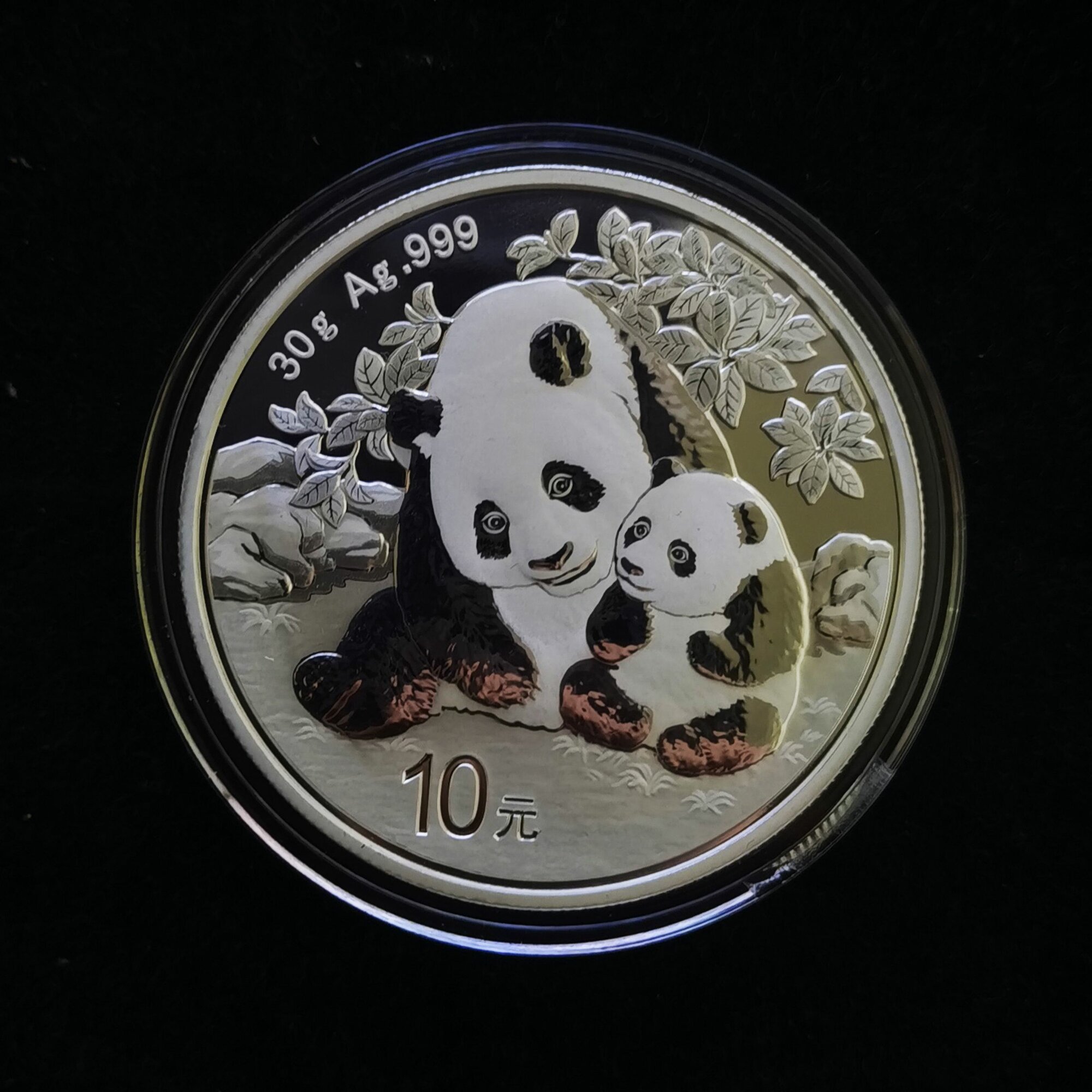 2024 Китай 10 Юаней 30 грамм Панда Серебряная монета
