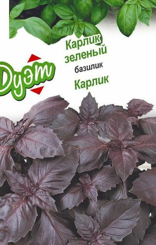 Семена Базилик Карлик + Карлик зеленый серия Дуэт