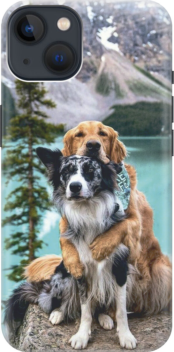 Силиконовый чехол на Apple iPhone 13 Mini / Эпл Айфон 13 мини с рисунком "Собачья дружба"