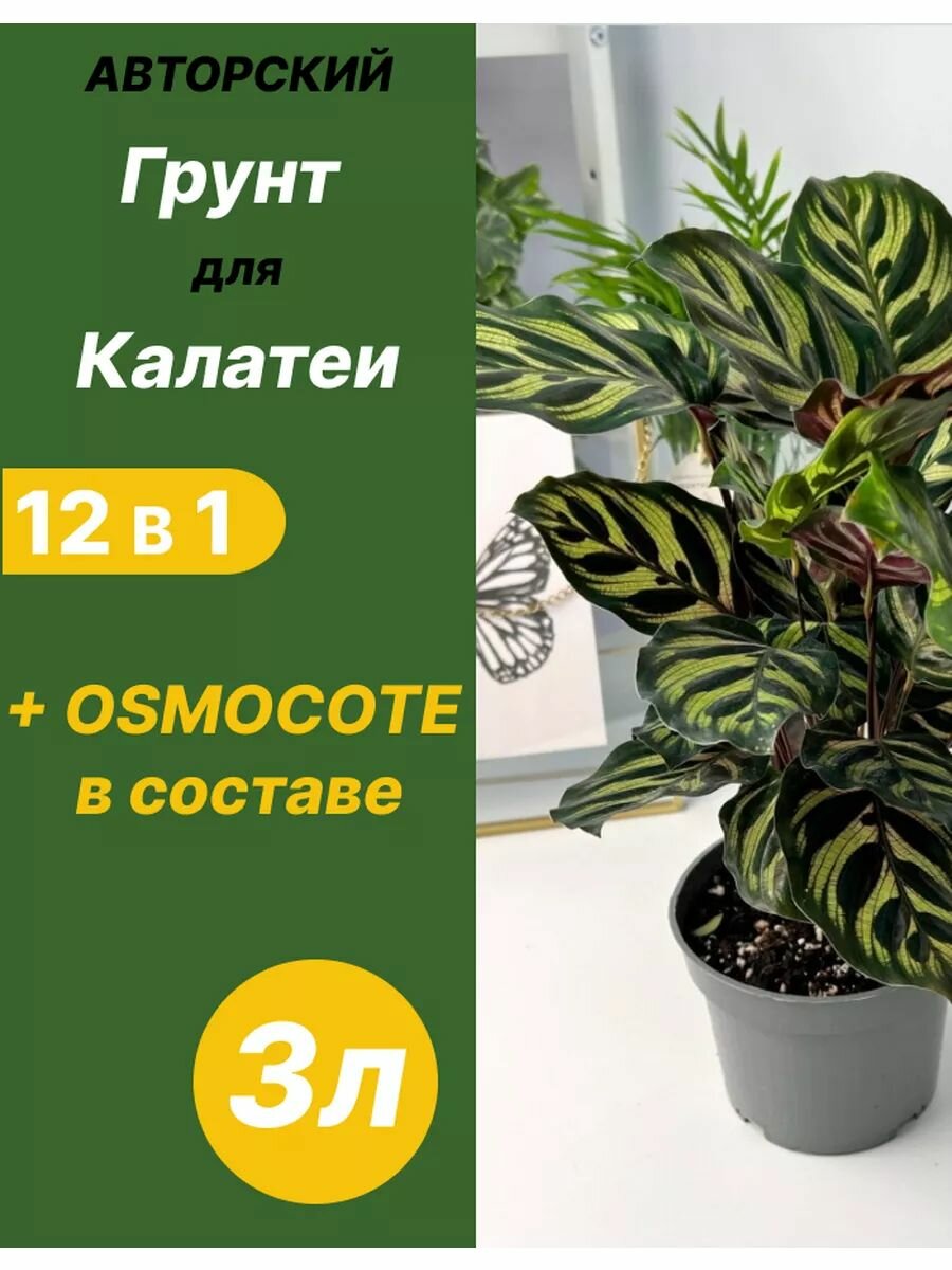 Грунт для Калатеи 3 л готовый