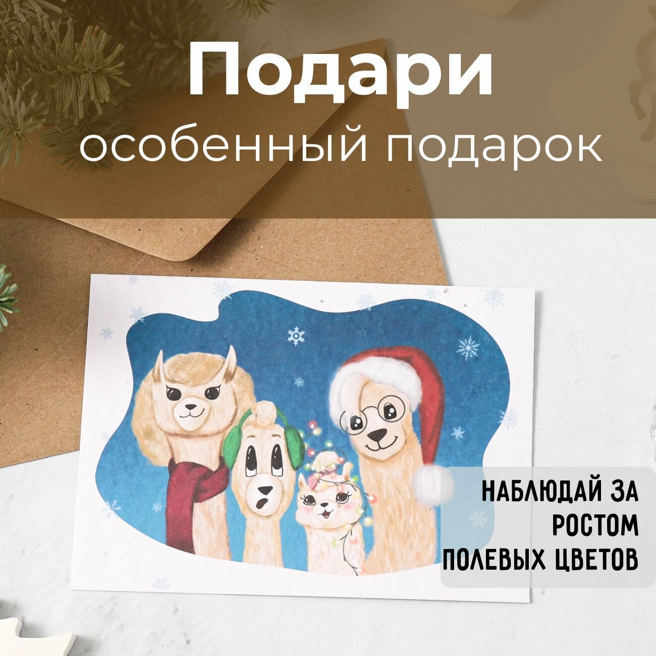 Открытка Семья Альпак