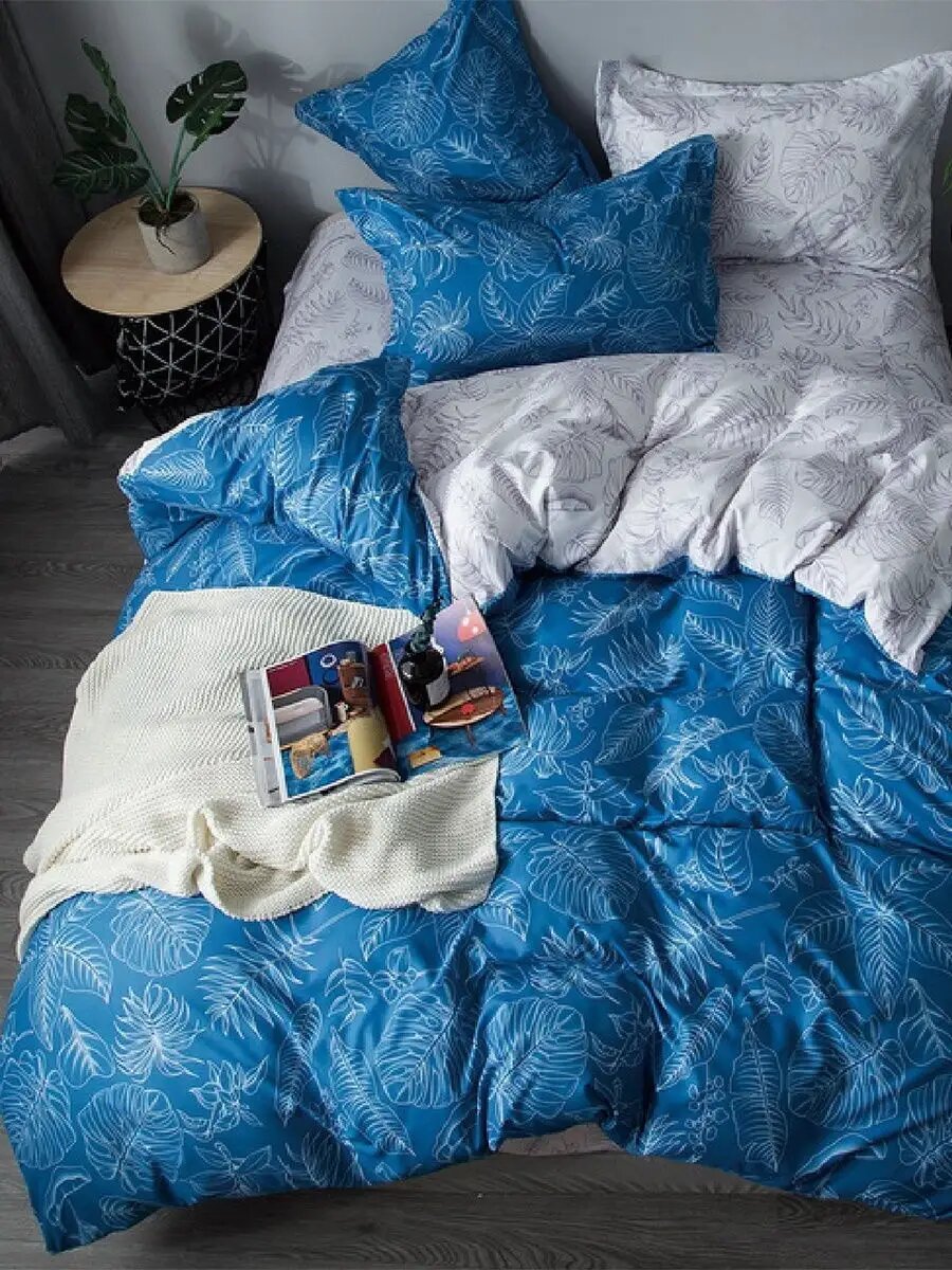 Постельное белье 1.5 спальное Dream Fly