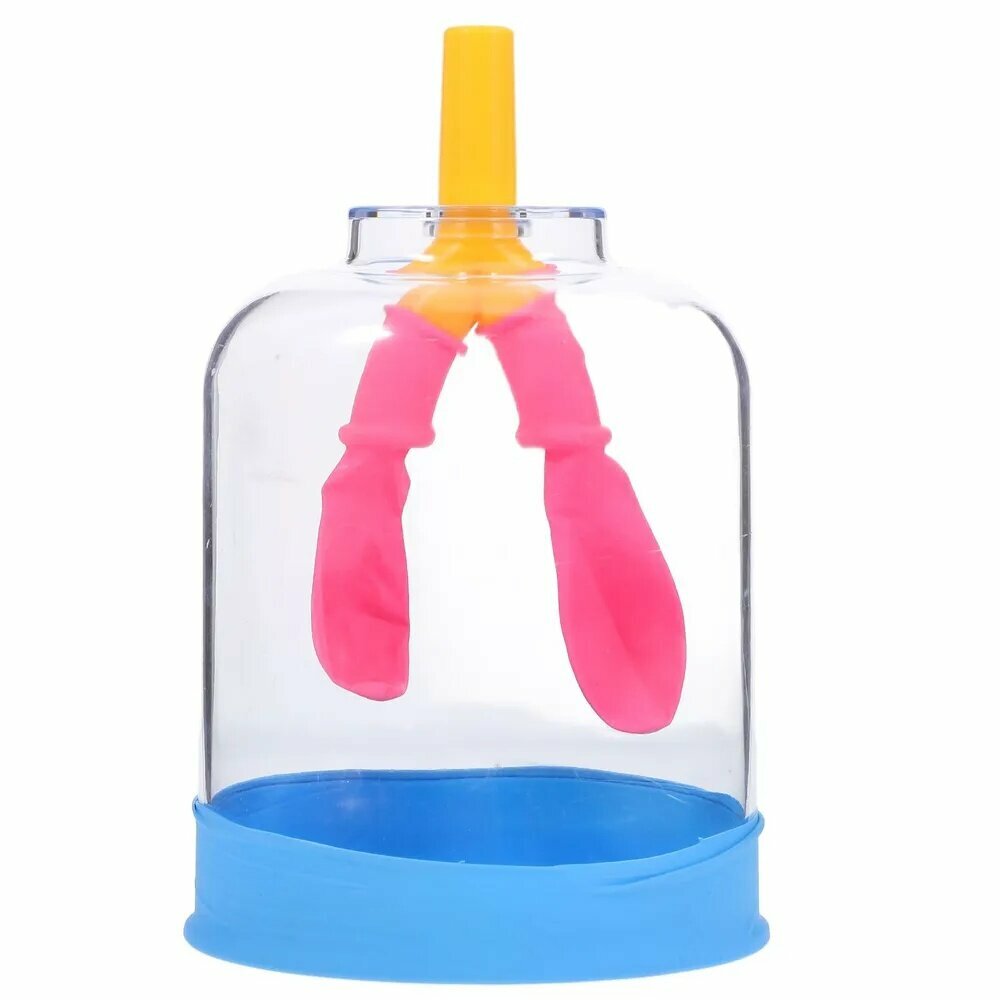 Демонстрационная Модель Легких, Пластиковая Конструкция, Для Учебных Целей, 1 Комплект