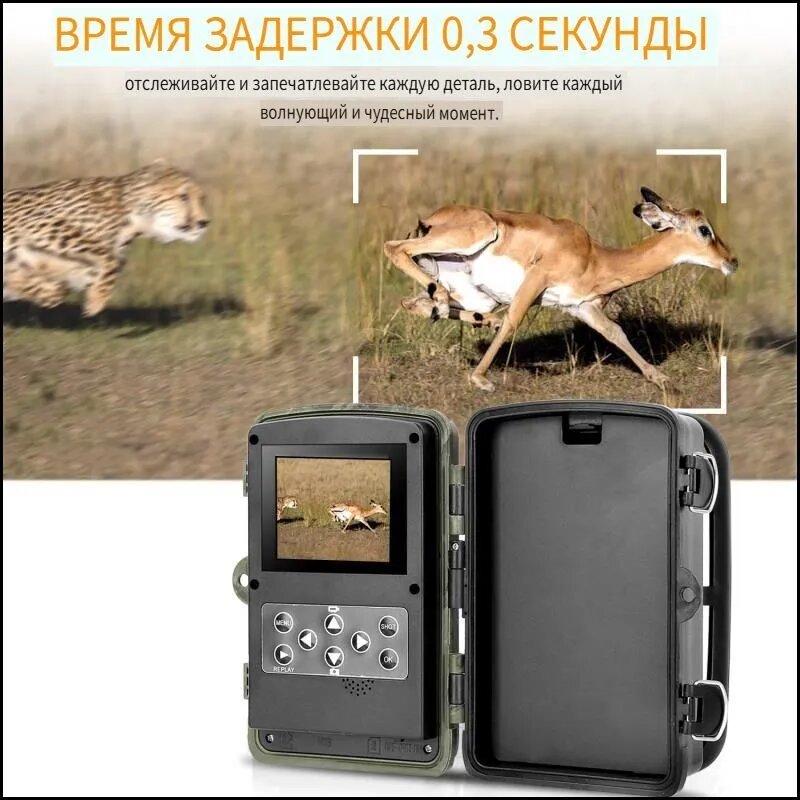 Фотоловушка — фото 1