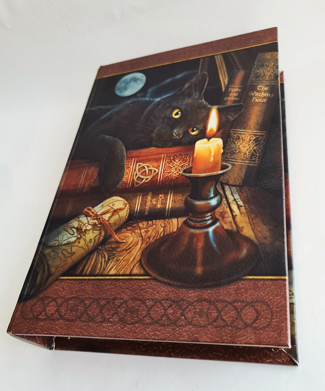 Футляр-книга с изображением кота-библиофила с магнитным замком
