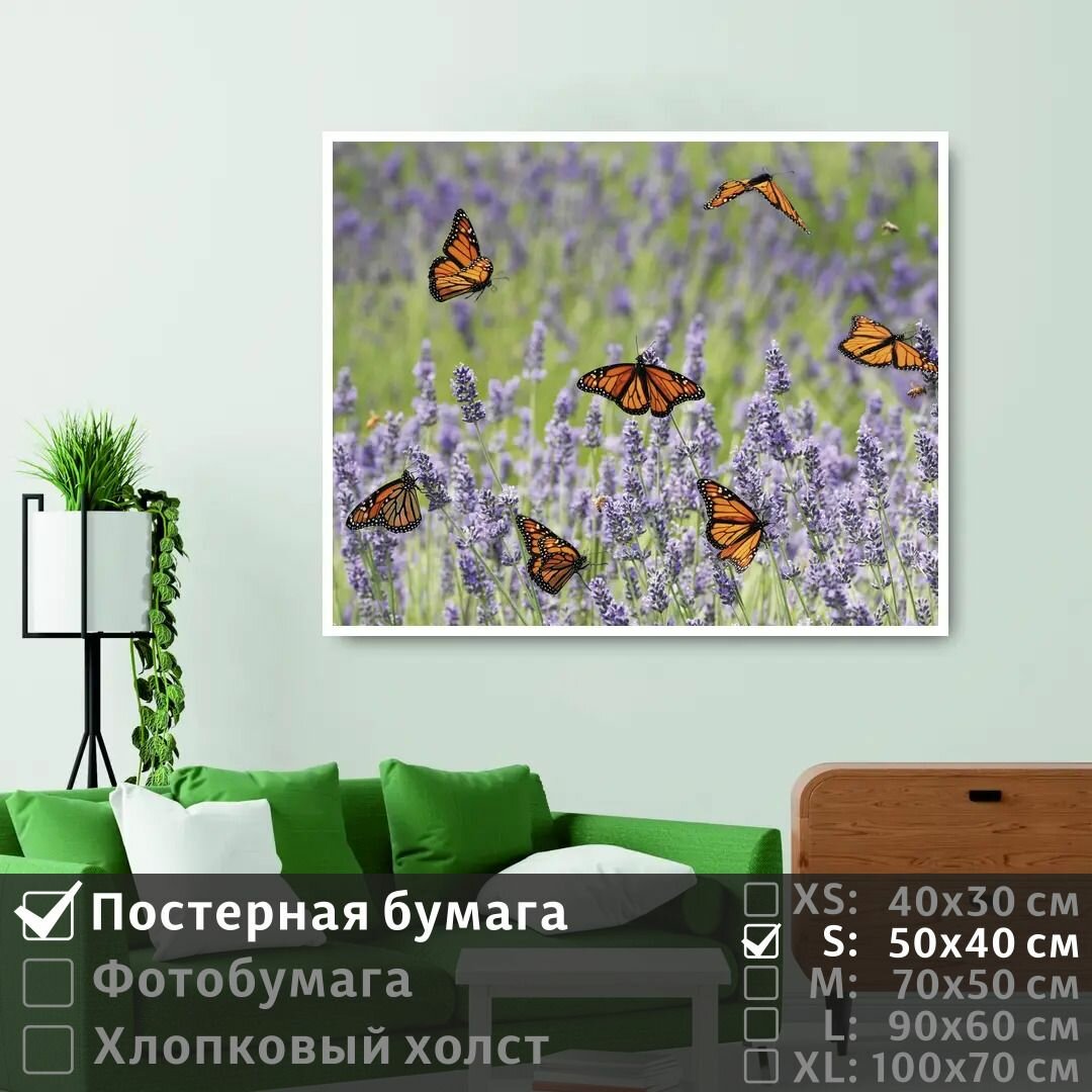 Постер на стену Бабочки Пархают Над Лавандами 50х40 см ПолиЦентр