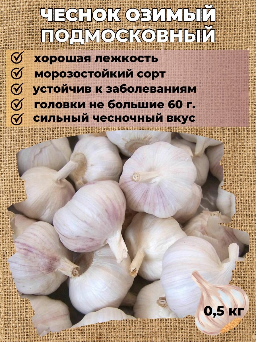 Чеснок озимый на посадку 0,5 кг.