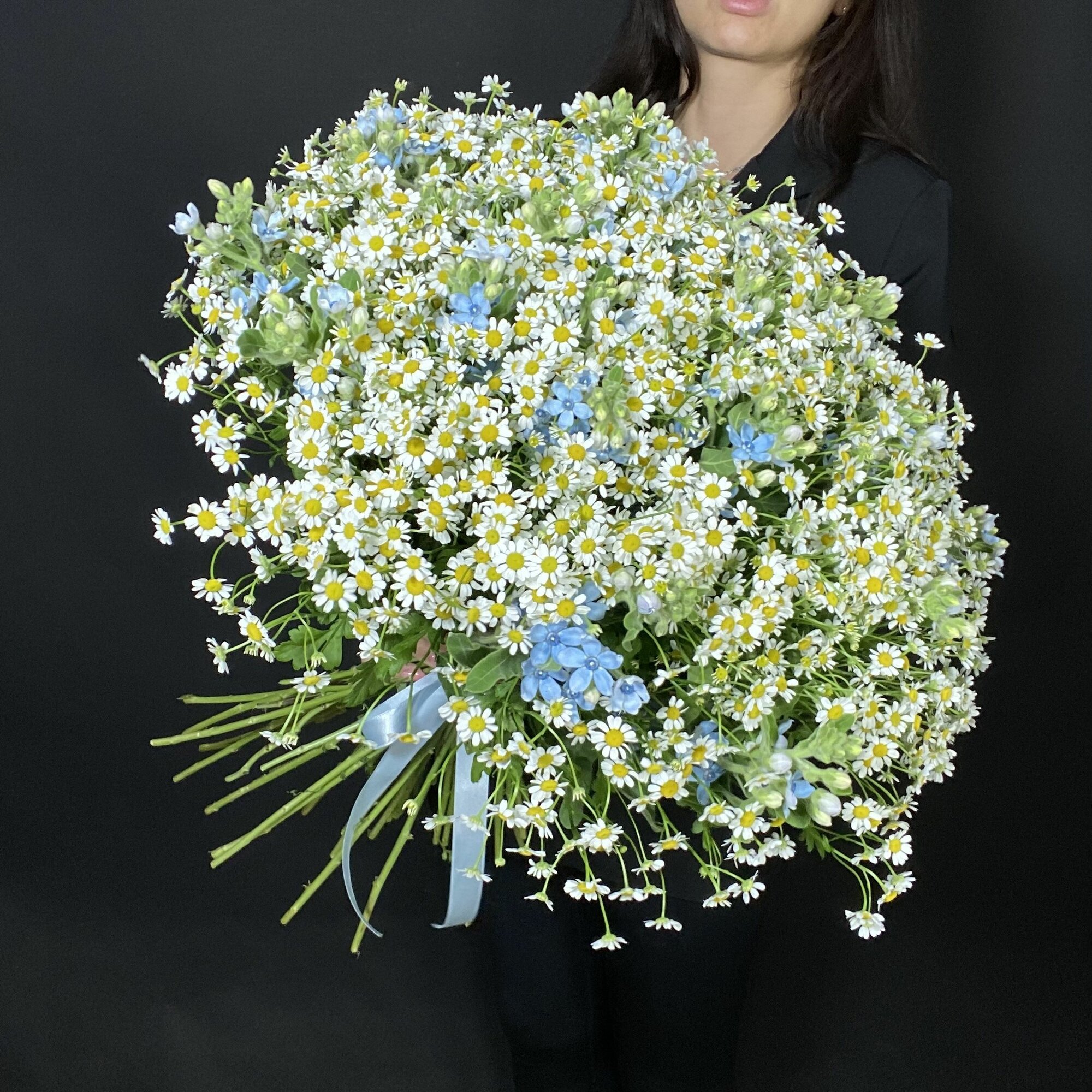 Букет ромашек (ромашки 51 шт, оксипеталум 24 шт.), высота букета 50 см