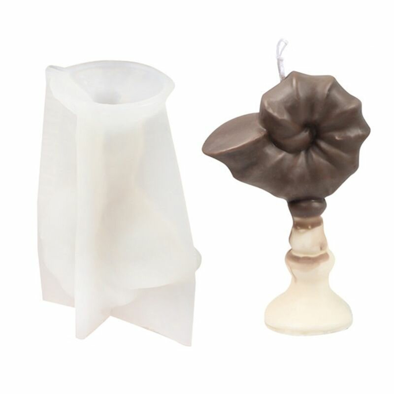 Морские гребешки ручной работы с панцирем морской звезды-2