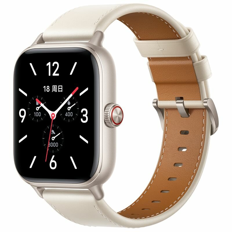 Спортивные часы Vivo WATCH GT