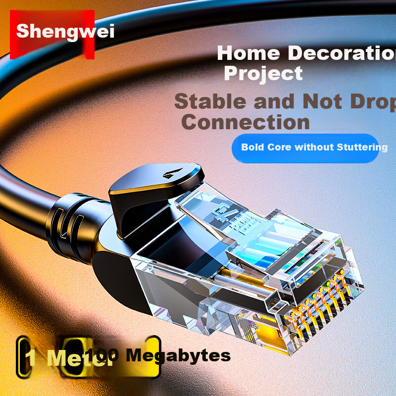 Shengwei Cat5e Super Five Category Network Cable 100Mbps Flame Retardant Network Connection Cable Cat5e Super Five Category Finished Jumper Computer Broadband Connection Cable 1m WLC1001G