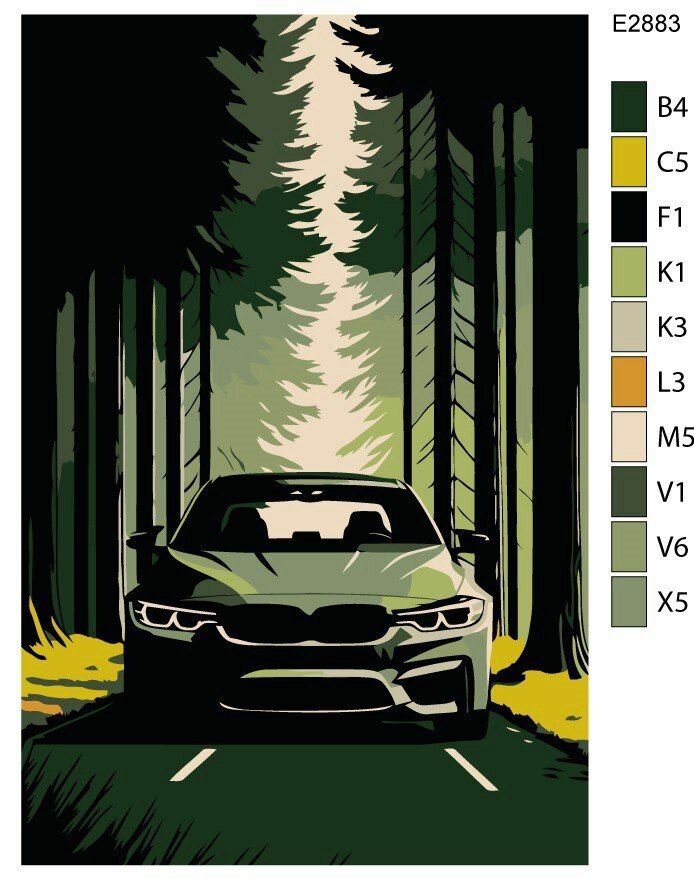 Детская картина по номерам E2883 "Спортивные машины. BMW" 20x30