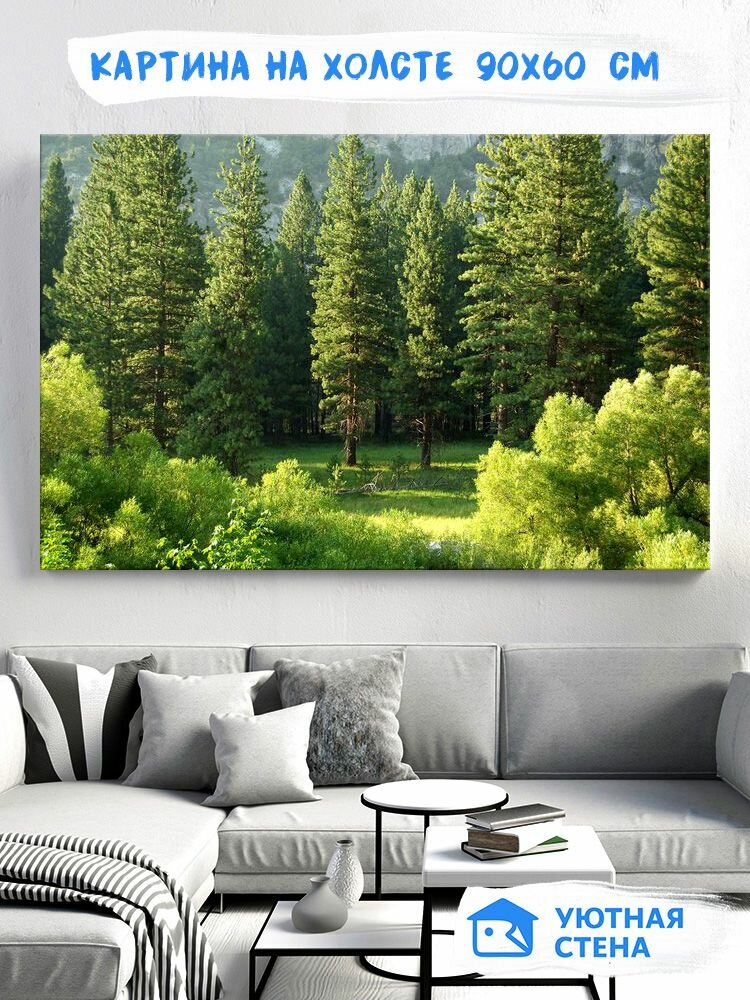 Картина на натуральном холсте Уютная стена "Зеленая роскошь гор" 90х60 см