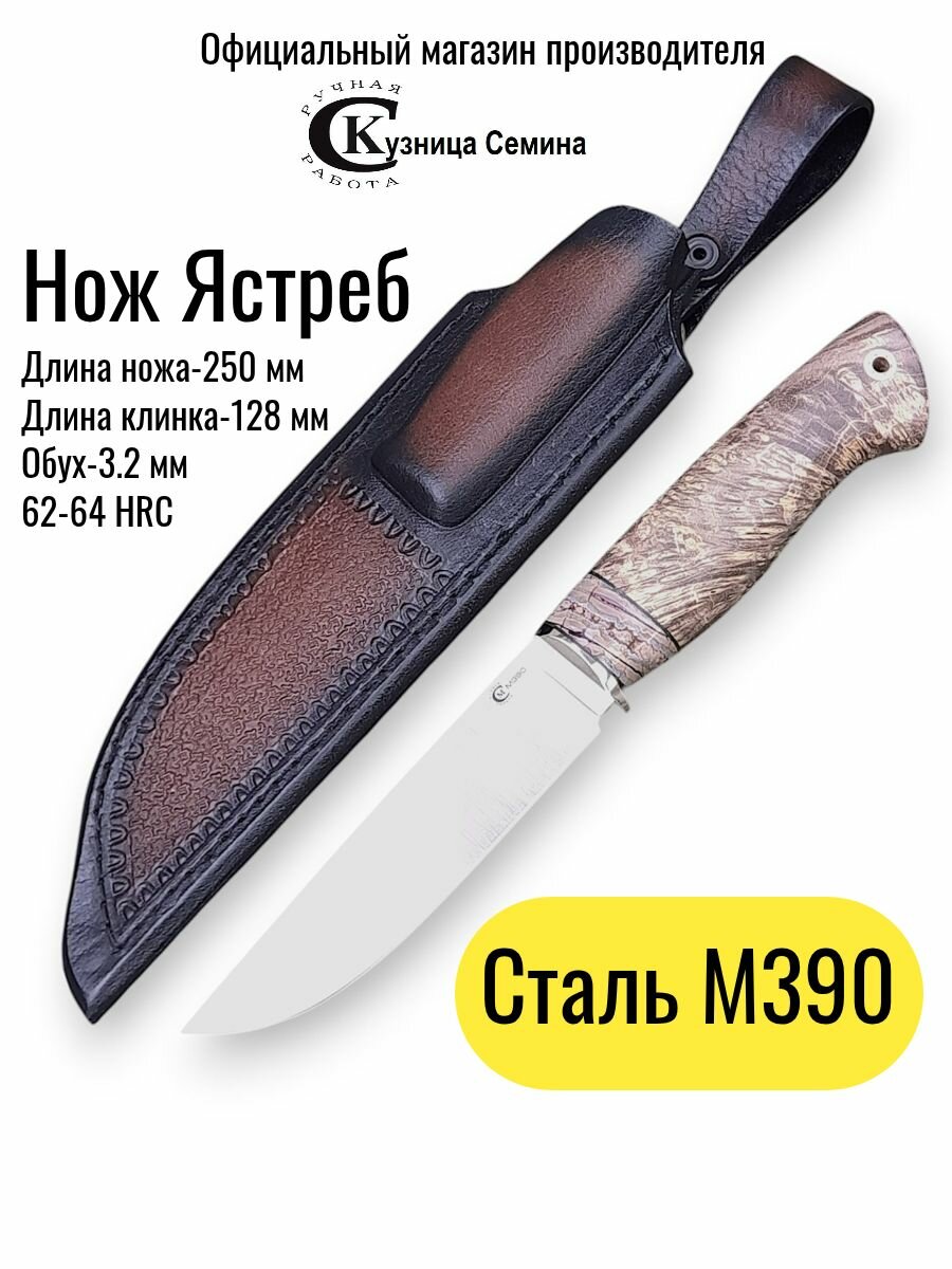 Нож сталь М390 Ястреб, рукоять стабилизированный кап клена, мельхиор, зуб мамонта, формованные ножны из натуральной кожи, официальный производитель Кузница Семина Ю. М.