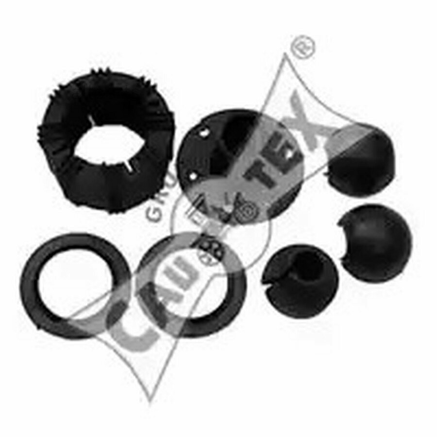 CAUTEX 020266 Ремкомплект кулисы КПП RENAULT Megane Scenic -99