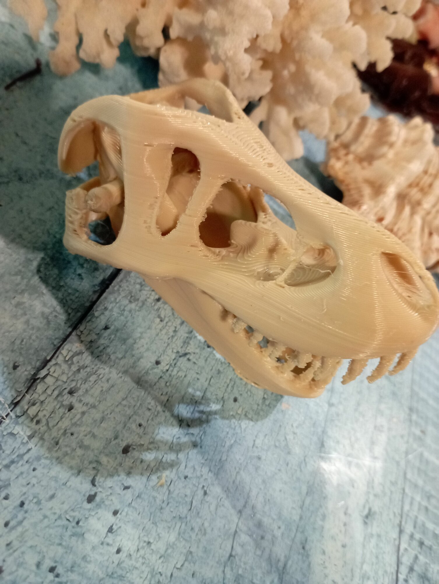 Декорации для аквариума череп динозавра