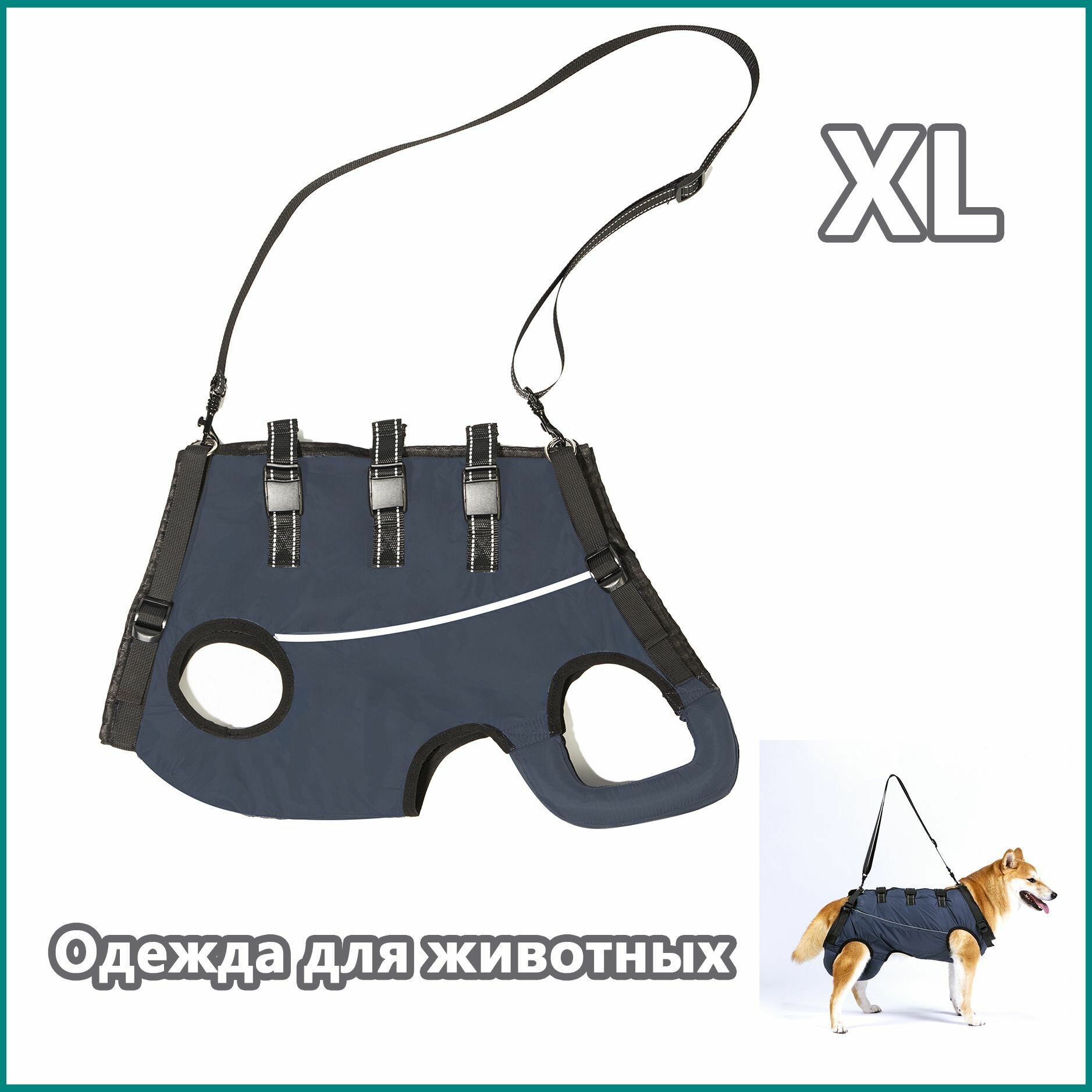 Автобокс для животных