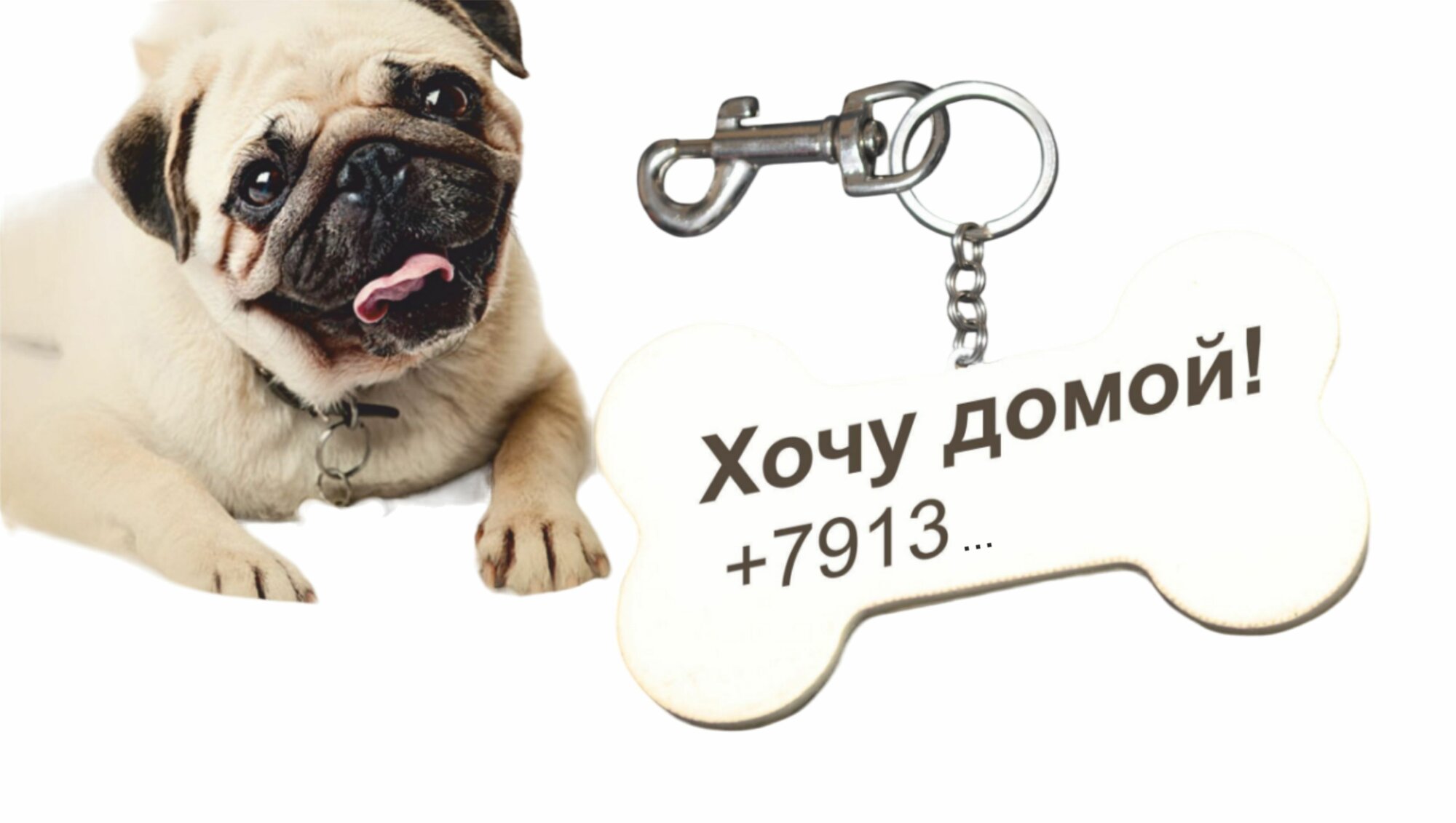 Адресник Дарэлл Косточка, зеркальный, металлический, в виде косточки, разноцветный