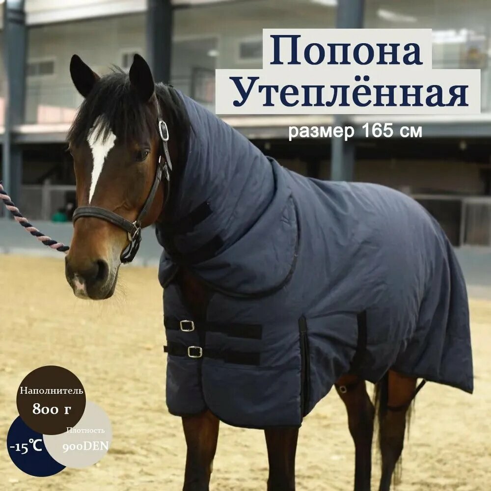 Попона для лошади с пришитым капором, 900D водонепроницаемый с хлопком, размер 165 см