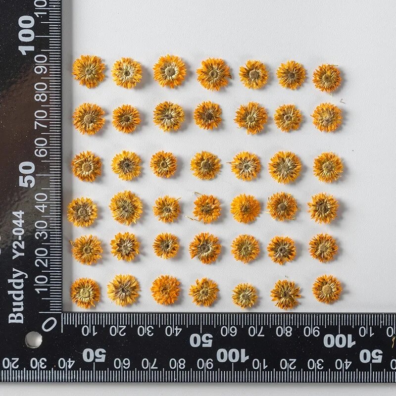 Сушеные цветочные лепестки, 24 шт. orange