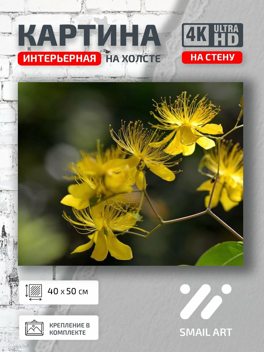 Картина на холсте интерьерная 40 на 50 на стену Желтые Landscape для спальни пейзаж декор