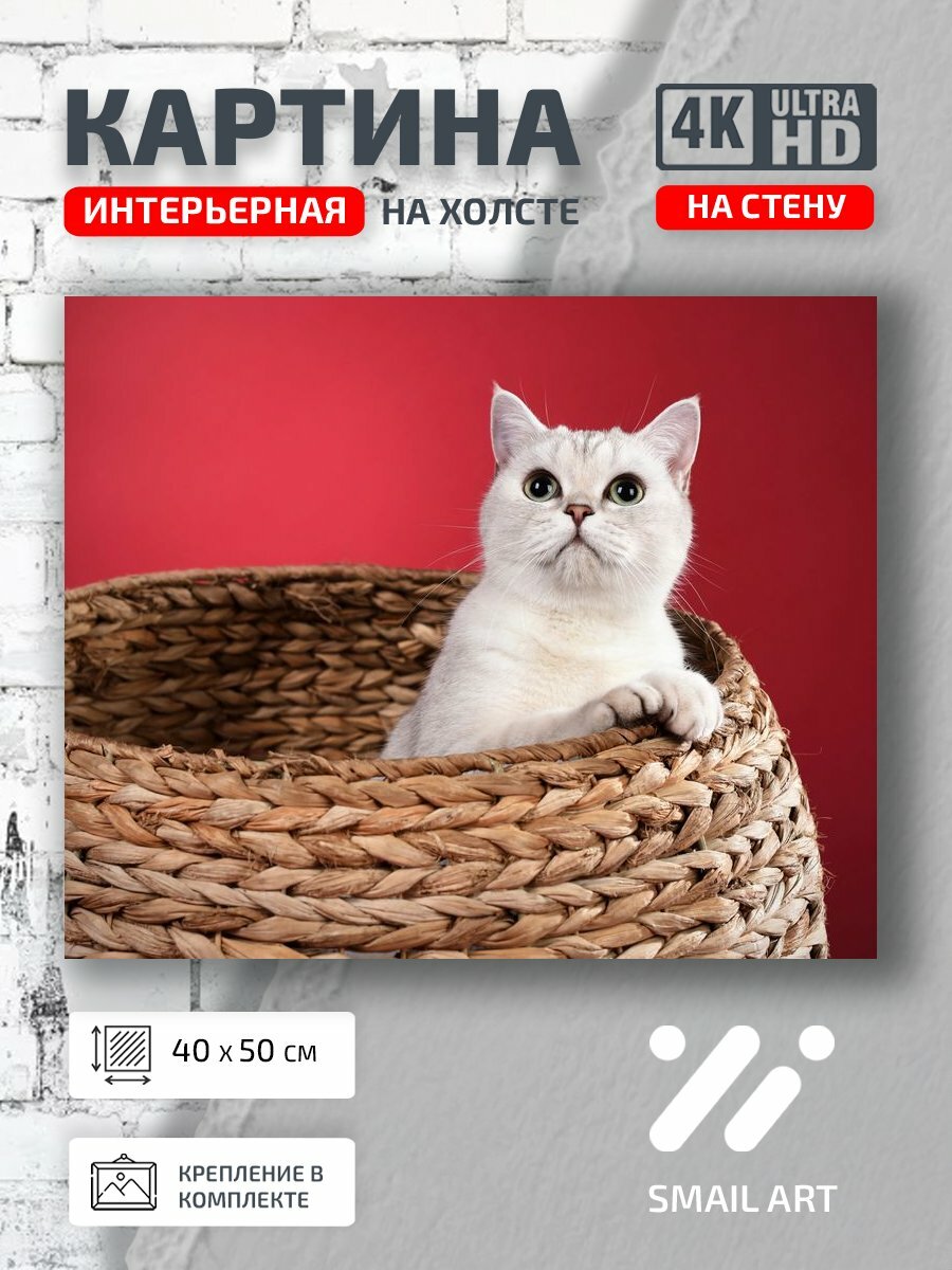 Картина на холсте интерьерная 40 на 50 на стену Плетеная Animal для гостиной animal style