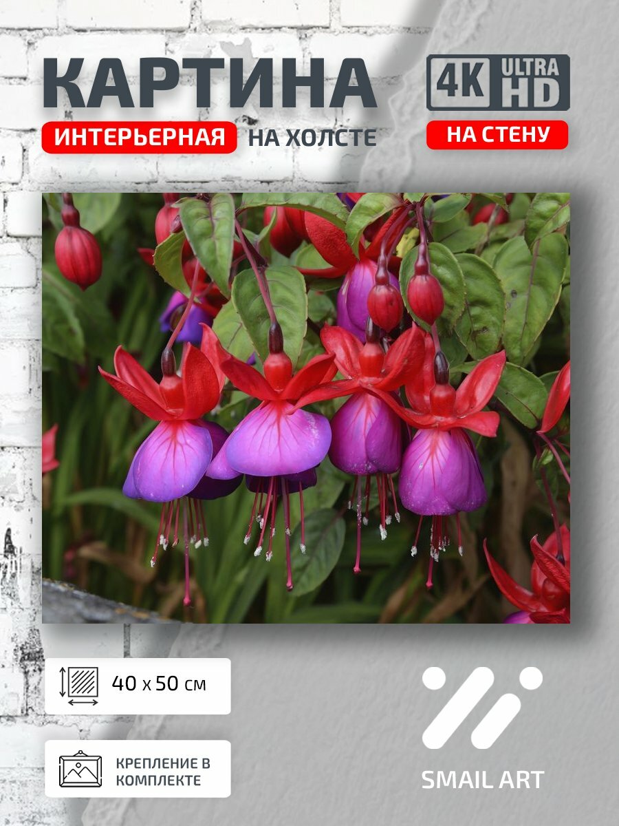 Картина на холсте интерьерная 40 на 50 на стену Красные Landscape для офиса пейзаж интерьер