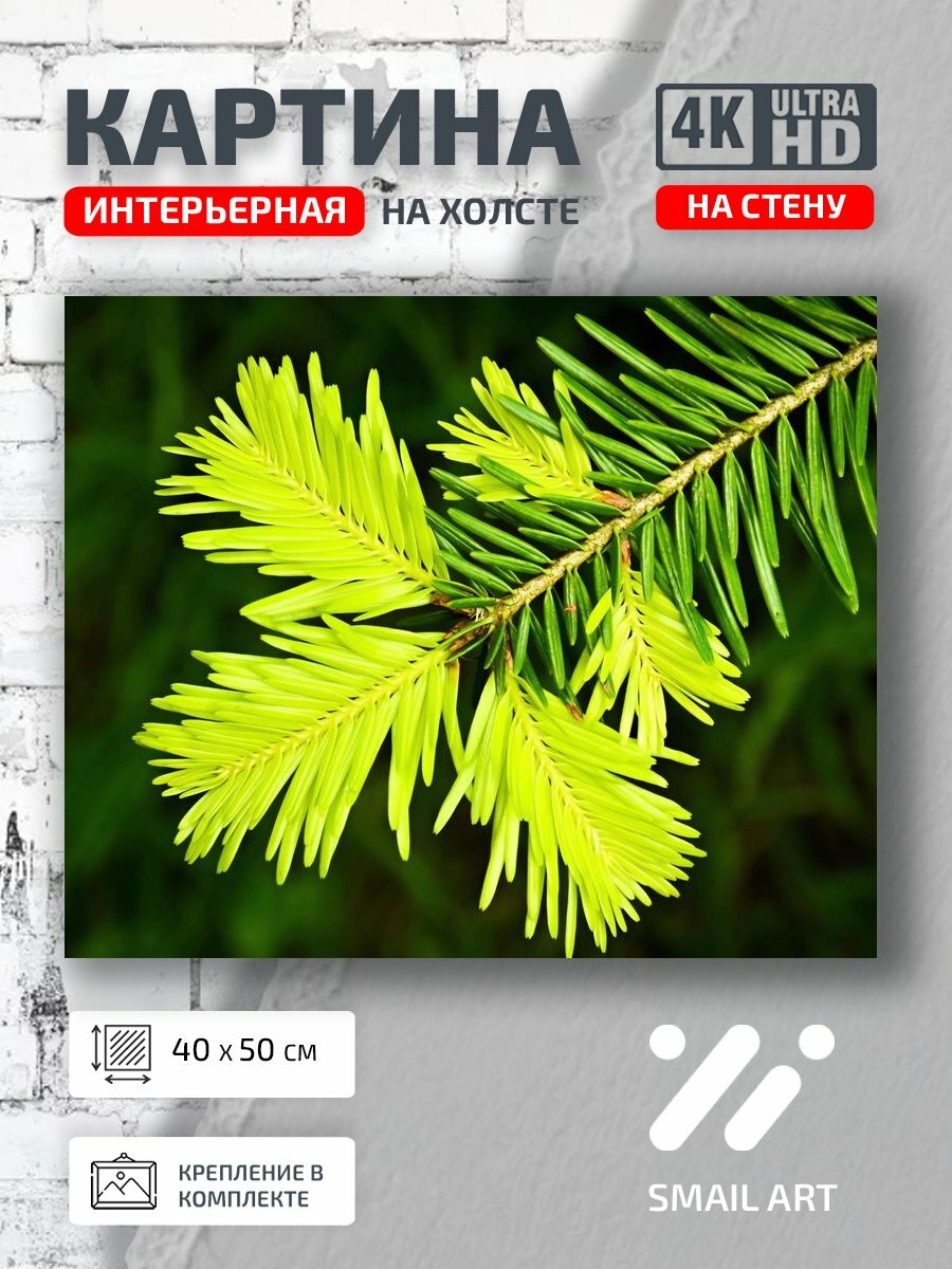 Картина на холсте интерьерная 40 на 50 на стену Ветка Landscape для спальни пейзаж интерьер