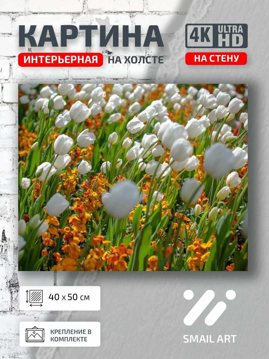Картина на холсте интерьерная 40 на 50 на стену Белые Landscape для гостиной пейзаж декор
