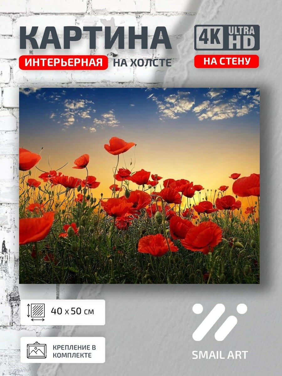 Картина на холсте интерьерная 40 на 50 на стену Маковое поле для гостиной атмосфера