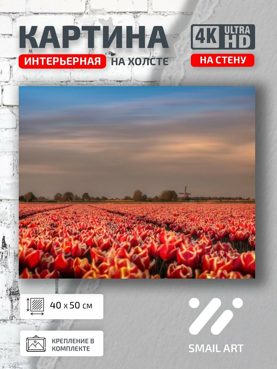 Картина на холсте интерьерная 40 на 50 на стену Пейзаж Голландия для кабинета атмосфера