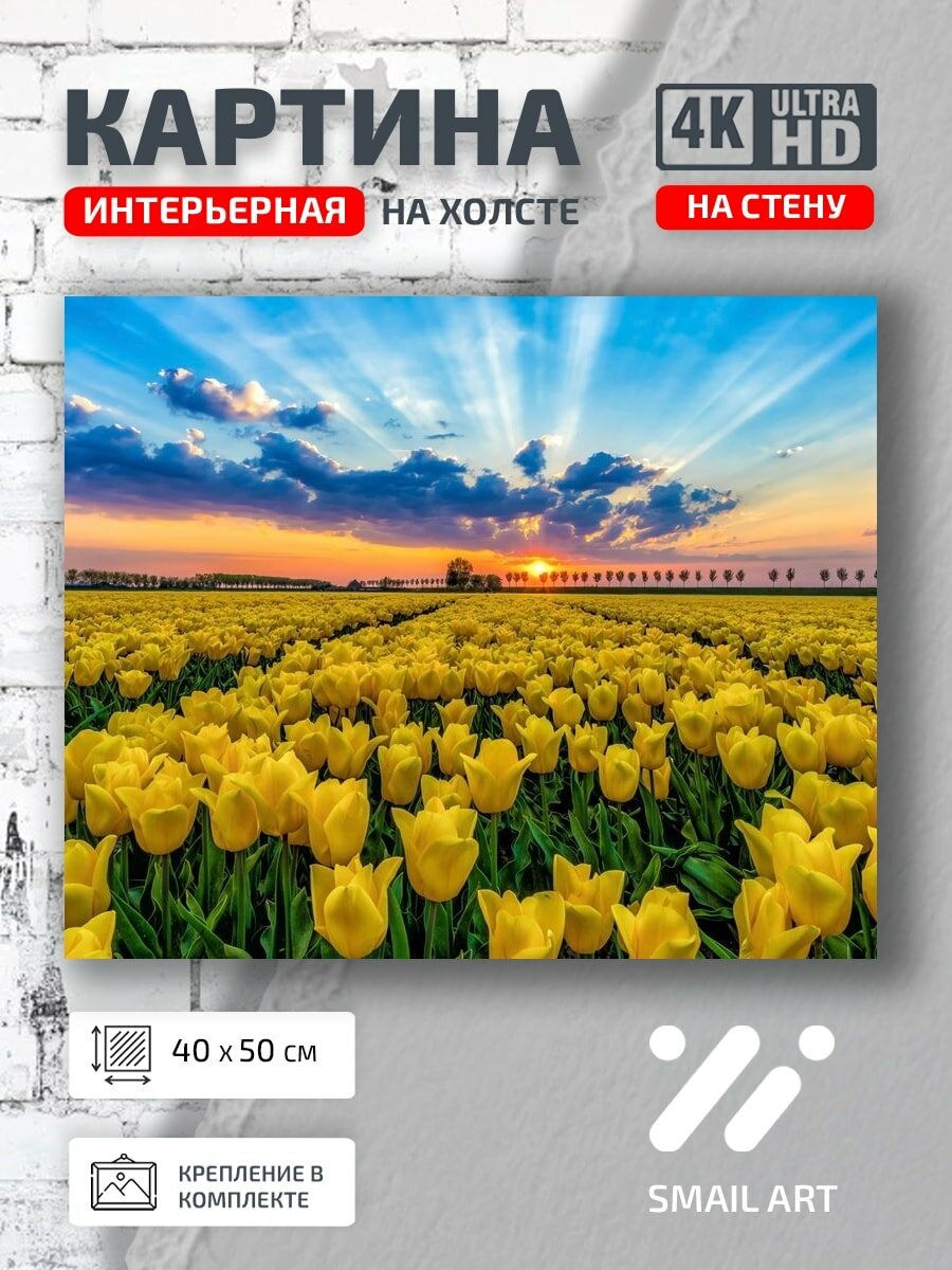 Картина на холсте интерьерная 40 на 50 на стену Природа тюльпаны для кабинета пейзаж