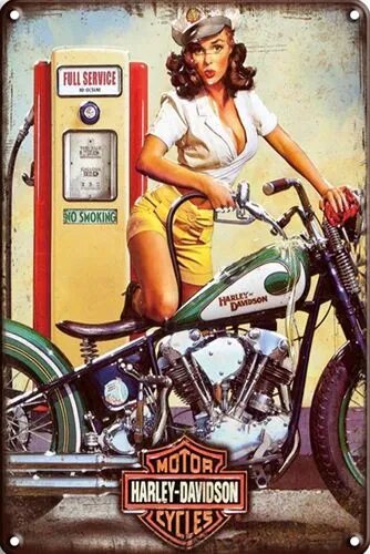 Harley Davidson, табличка металлическая, постер на стену табличка металлическая, постер на стену30x20cm