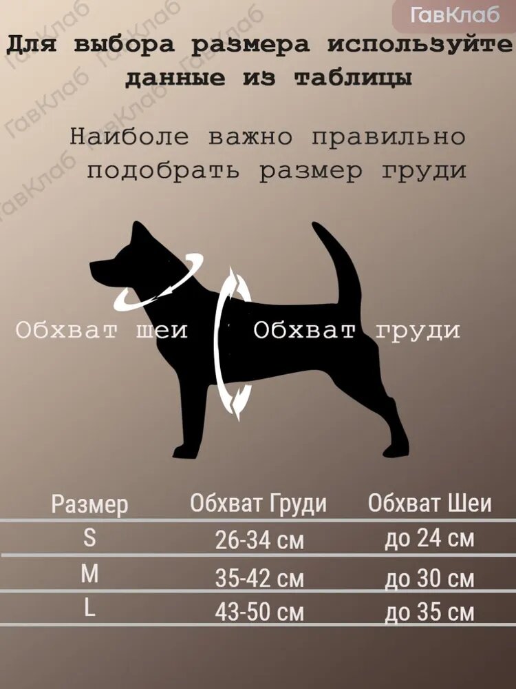 Шлейка — фото 1