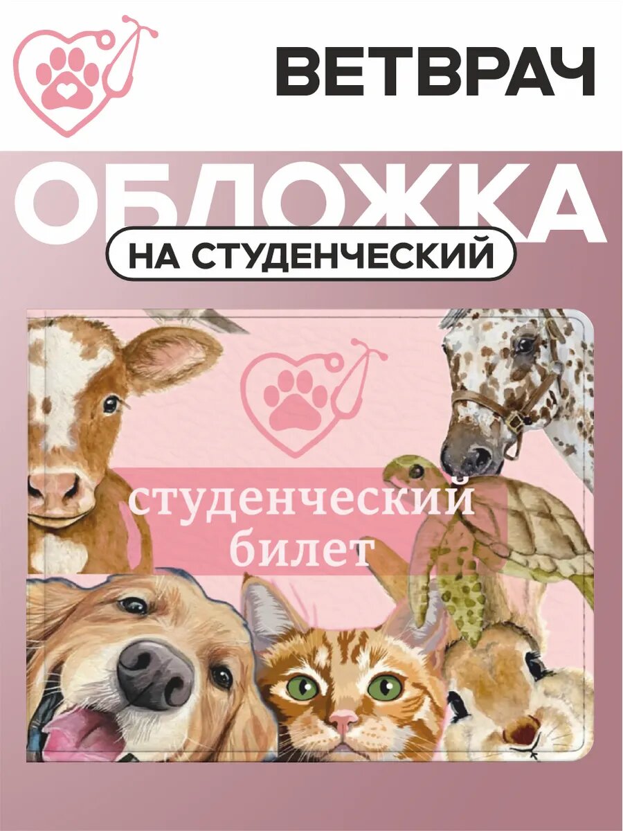 Обложка для студенческого билета