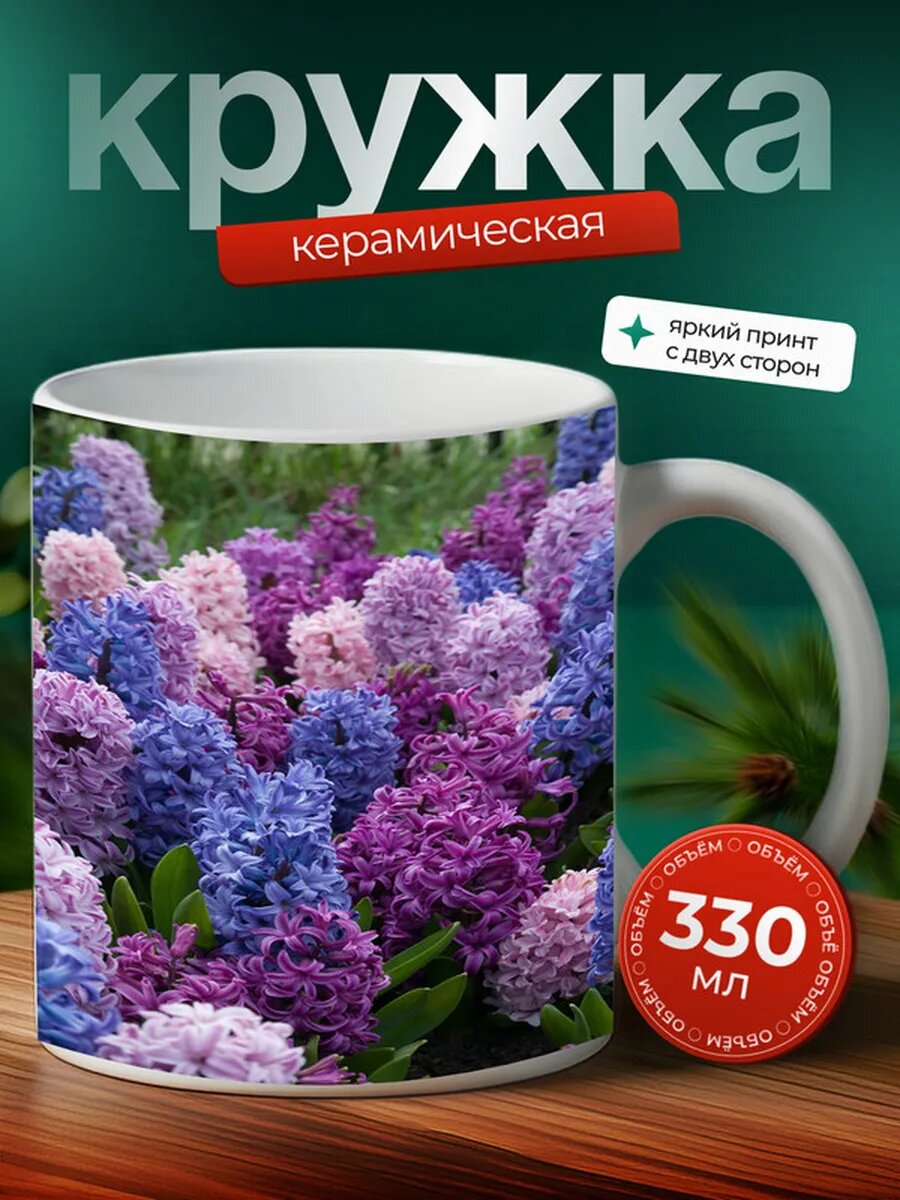 Кружка Гиацинты,