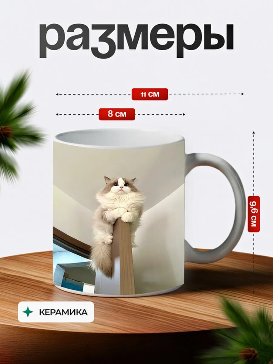 Кружка Рагдолл кот 9, — фото 1